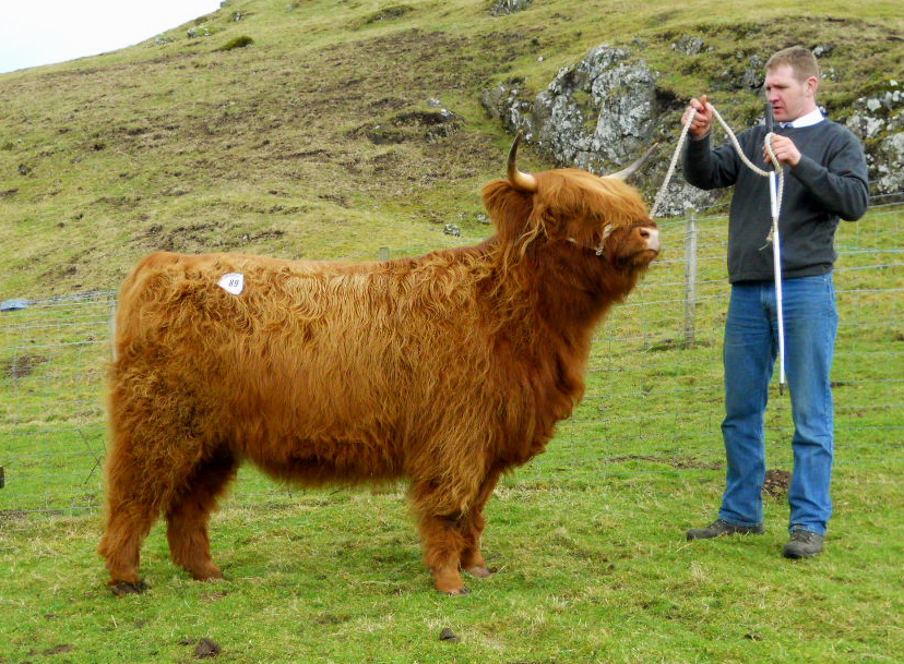 The History and People Behind The Company | Scottish Genetics