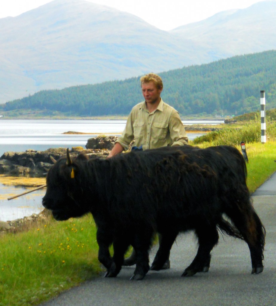 The History and People Behind The Company | Scottish Genetics