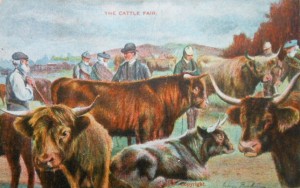 The History of the Highland Breed | Scottish Genetics